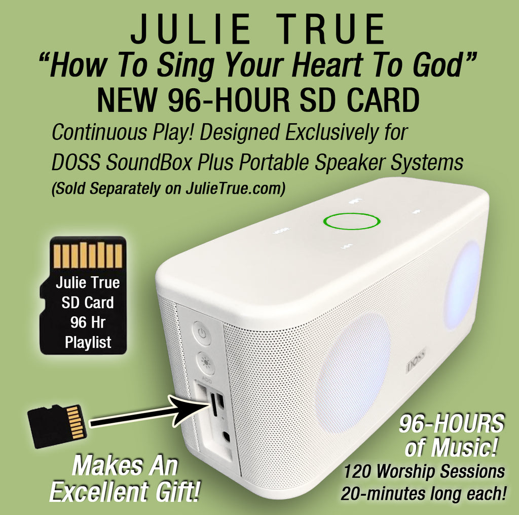 Julie True - How To Sing Your Heart To God - New 96-Hour SD Card ...